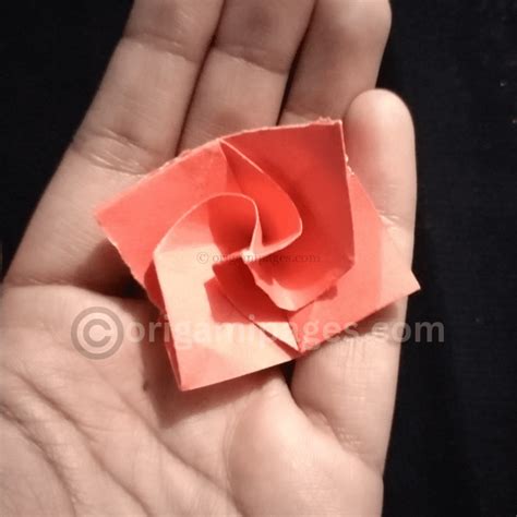 Origami Bat A Step By Step Guide