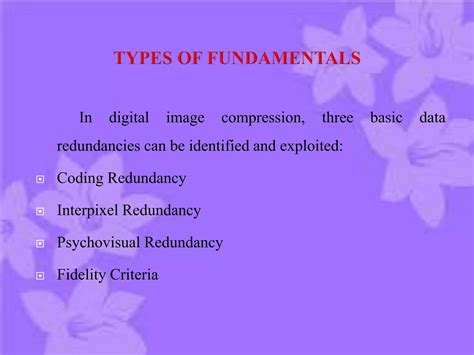 Fundamentals And Image Compression Models Pptx