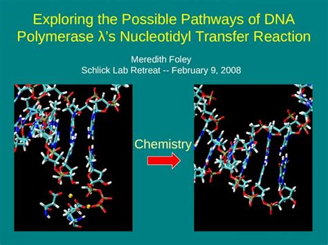 Ppt Exploring The Possible Pathways Of Dna Polymerase λ S Nucleotidyl Transfer Reaction