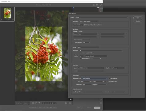 actions scripting bug saving from adobe raw adobe community