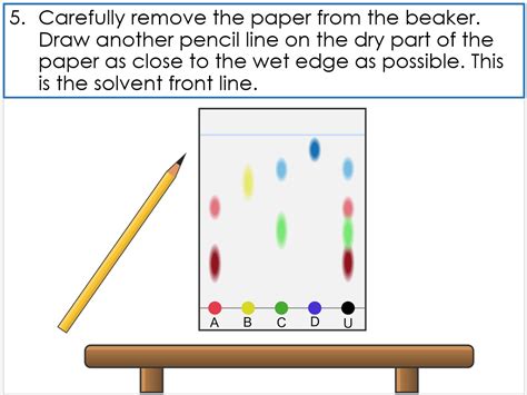 Chemistry Required Practical 6 Chromatography Teaching Resources