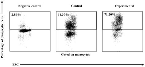 IJMS Free Full Text The Effect Of Orally Administered Multi Strain