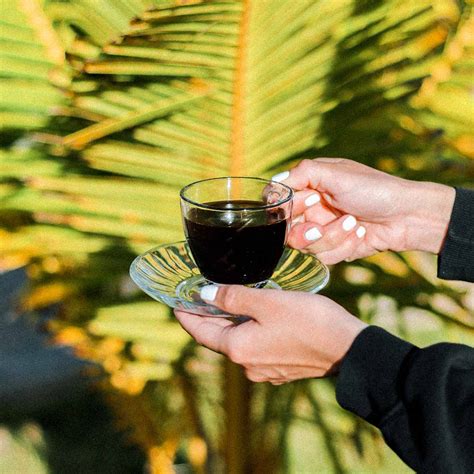 Drinking Coffee Is Associated With Increased Longevity My Supply Co