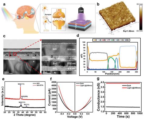 Characteristics Of The Photonic Synaptic Device A Schematic Diagram
