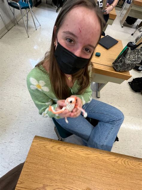 Pin Oleh Mtmauskapf Di Widget Board 7