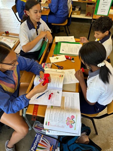 Academic Offering Saffier Primary School