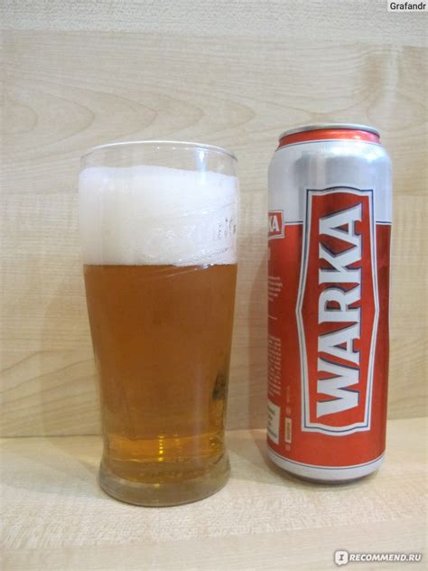 Пиво Warka Classik - «Классическое польское пиво » | отзывы