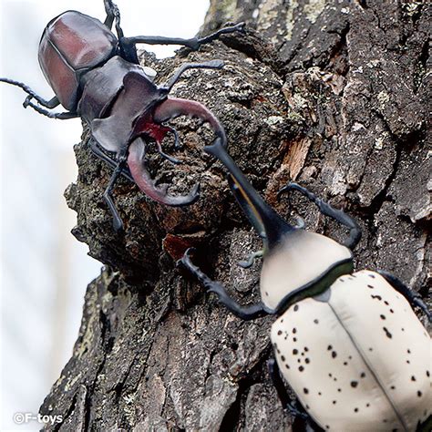 Insect Hunter 2024 1box 10pcs