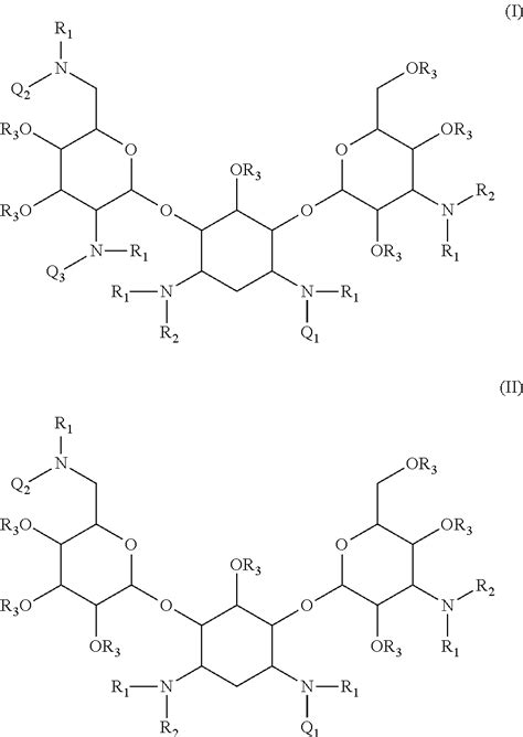 Antibacterial Aminoglycoside Analogs Eureka Patsnap