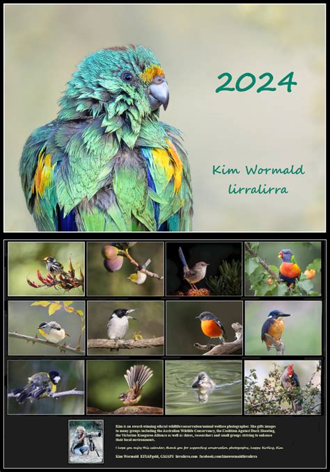 Hurry Hurry Lirralirra