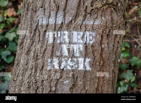 Tree At Risk Text Stamped Onto A Tree Due To Be Cut Down Protecting Trees Environmental