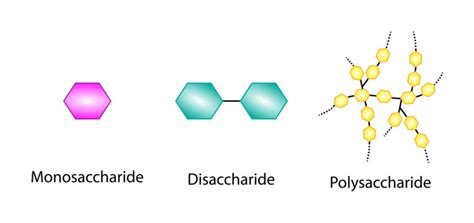 รูปภาพmonosaccharide เลือกดูภาพถ่ายสต็อก เวกเตอร์ และวิดีโอ1 491 Adobe Stock