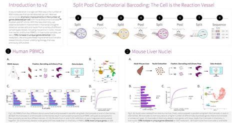 Poster Improving Sensitivity Of Combinatorial Barcoding Based Single Cell Sequencing