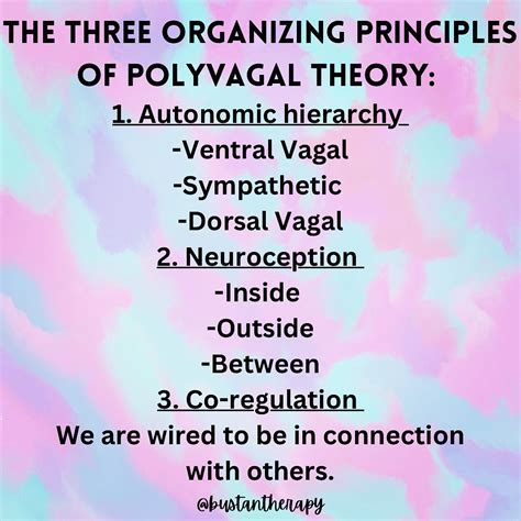 What Is A Dysregulated Nervous System Nervous System Dysregulation Artofit