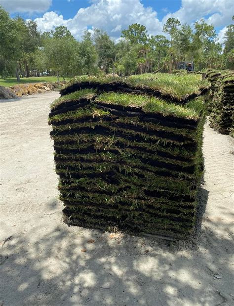 Installation Best Quality Sod