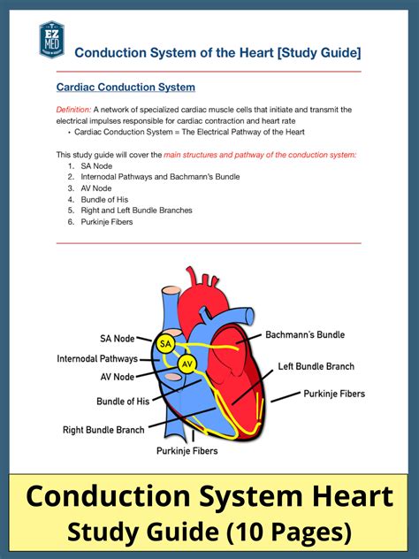diagram of conduction system of heart label the cardiac cond