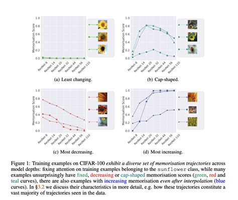 Deciphering Memorization In Neural Networks A Deep Dive Into Model Size Memorization And