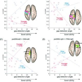 Significant Resting State Functional Connectivity RsFC Showing Download Scientific Diagram