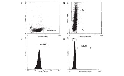 Flow Cytometric Sorting Of G 0 G 1 Cells A Lymphocyte Gate Was