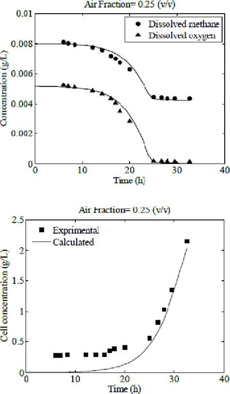 figure 1 from mathematical modeling of a vertical tubular external airlift loop bioreactor for