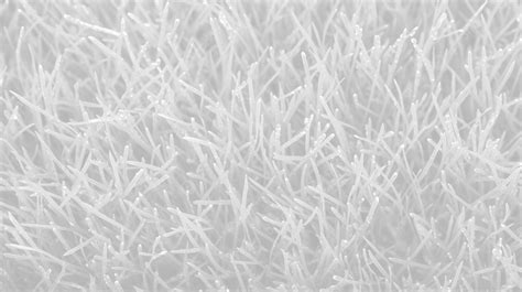 Gorgeous Vibrant Texture Of Fresh Green Grass Background Grass Texture