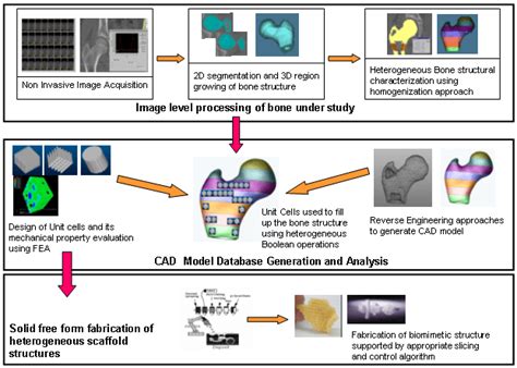 1 Overall Procedure Of Modeling And Design Of The Biomimetic Bone Scaffold Download