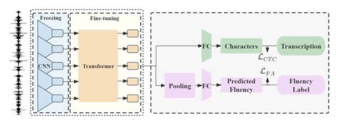 the proposed fine tuning wav2vec2 0 model download scientific diagram