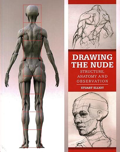 Drawing The Nude Structure Anatomy And Observation Elliot Stuart Books