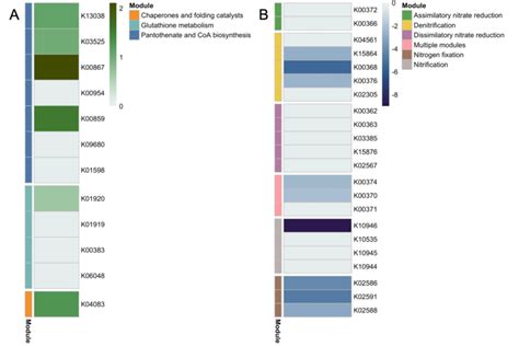 Heatmaps Of The Abundance Log Fold Change Between The Samples From Download Scientific