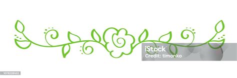 녹색 벡터 손으로 그린 붓글씨 구분자입니다 봄 번 창 디자인 요소입니다 인사말 카드 웹 결혼식 및 인쇄에 대 한 꽃 빛 스타일 장식 흰색 배경 서 예 및 글자 그림에 절연