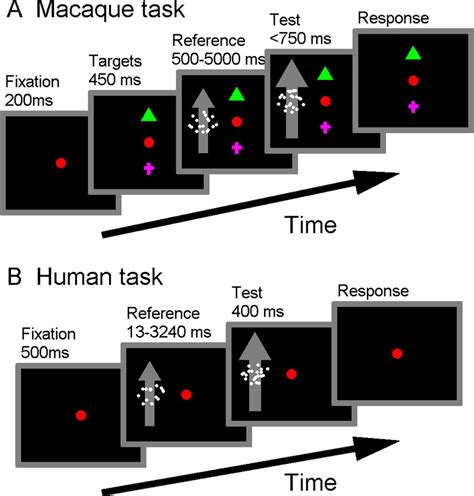 Adaptation To Speed In Macaque Middle Temporal And Medial Superior Temporal Areas Journal Of