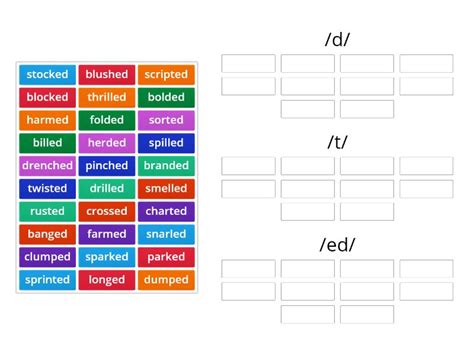 Ed Suffix Sort Group Sort