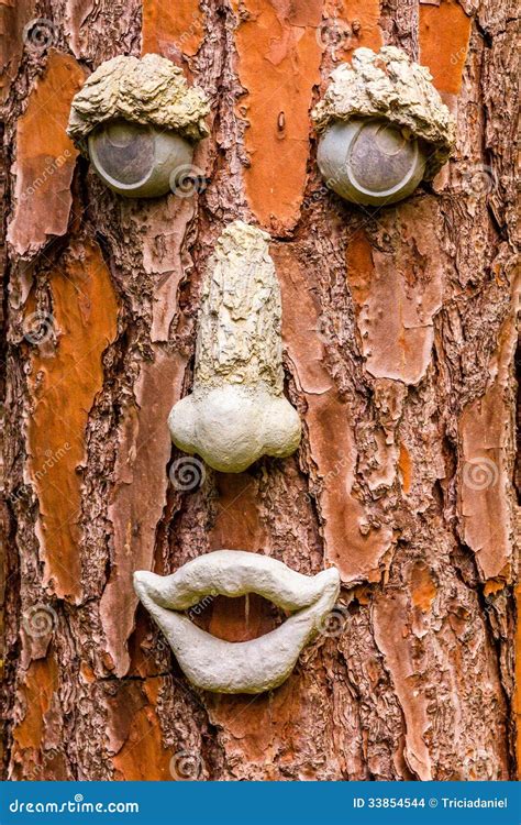 Tree Face Stock Photo Image Of Ghost Mythical Haunted