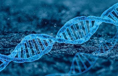 Nature 基因编辑工具箱或再添神器——tnpb核酸内切酶 知乎