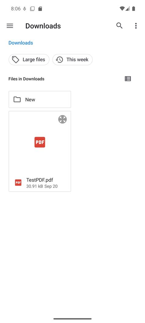write up mobilehackinglab document viewer [hack a doodle doo]