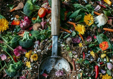 The Science Behind Composting How Microorganisms Work How To Compost