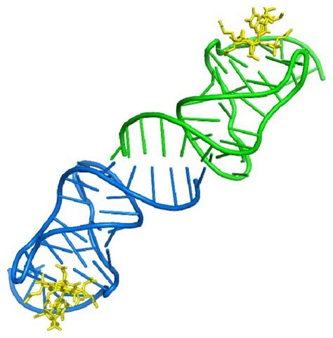 Characterization Of Aptamer Protein Complexes By X Ray Crystallography