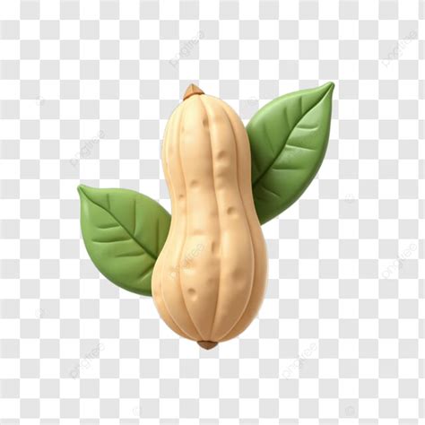 땅콩 콩 완두콩 꼬투리 땅콩 콩 완두콩 Png 일러스트 및 Psd 이미지 무료 다운로드 Pngtree