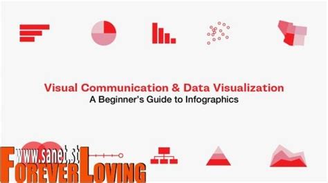 Visual Communication And Data Visualization A Beginners Guide To