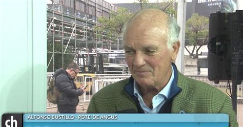 La Raza Angus Un Símbolo De Calidad Y Crecimiento Que Brilla En La