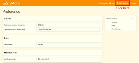 216 Tips Preference Page — Jmorp User Guide Documentation