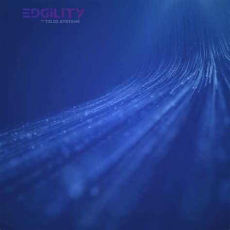 Telco Systems Edgility On Linkedin Edgility Connectededge Innovation Datasecurity