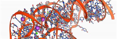 Unlocking Lncrna Insights Structure Functions And Ngs Strategies Revvity