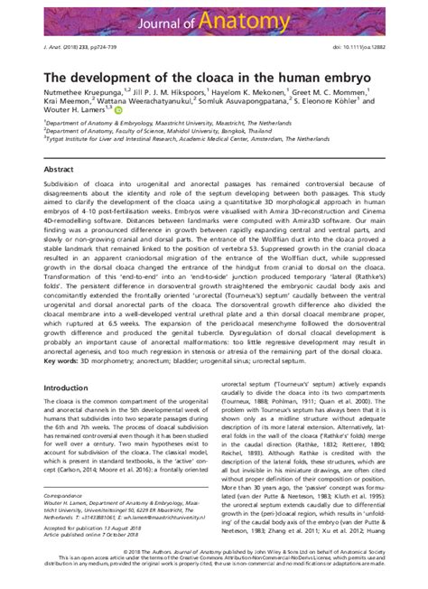 Pdf The Development Of The Cloaca In The Human Embryo