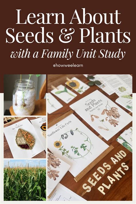 Seeds And Plants Unit Study How Wee Learn