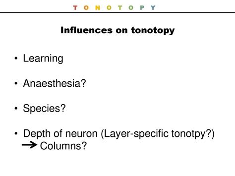 Tonotopy In The Auditory Cortex An Overview Ppt Download