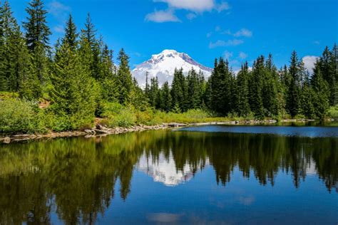 Oregons Ultimate Scenic Adventure The Mount Hood Columbia River