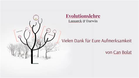 Evolutionstheorie Von Lamarck Und Darwin By Can Deniz Bol On Prezi