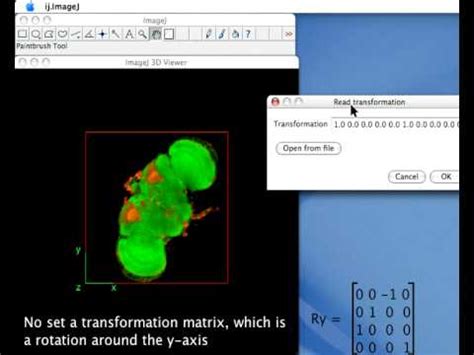 ImageJ D Viewer Demo Part YouTube