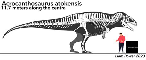Acrocanthosaurus Skeletal Fandom